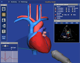 www.cardioanatomy.com - 3D Interactive Heart Viewer